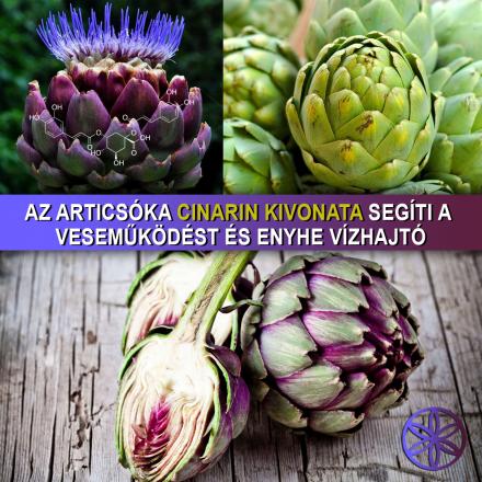 A hatékony zsírbontás a májműködéstől, a zsírégetés pedig a jó ...